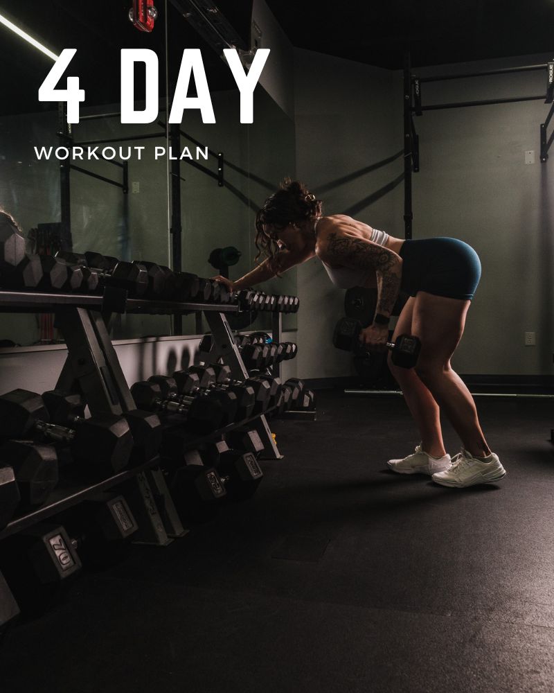 4 Day - Gym Workout Plan - Jannas Fitness